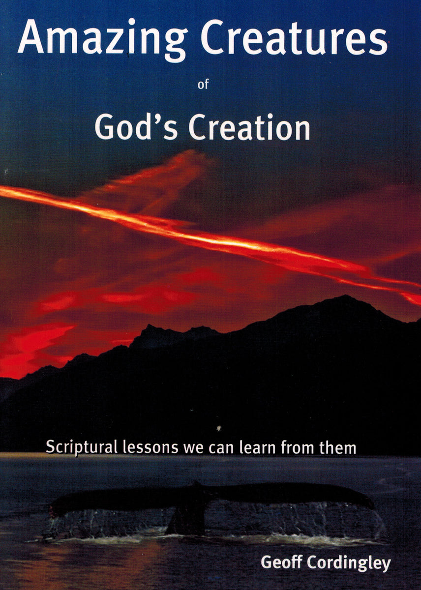 Amazing Creatures of God's Creation – Dawn Christadelphian Publications